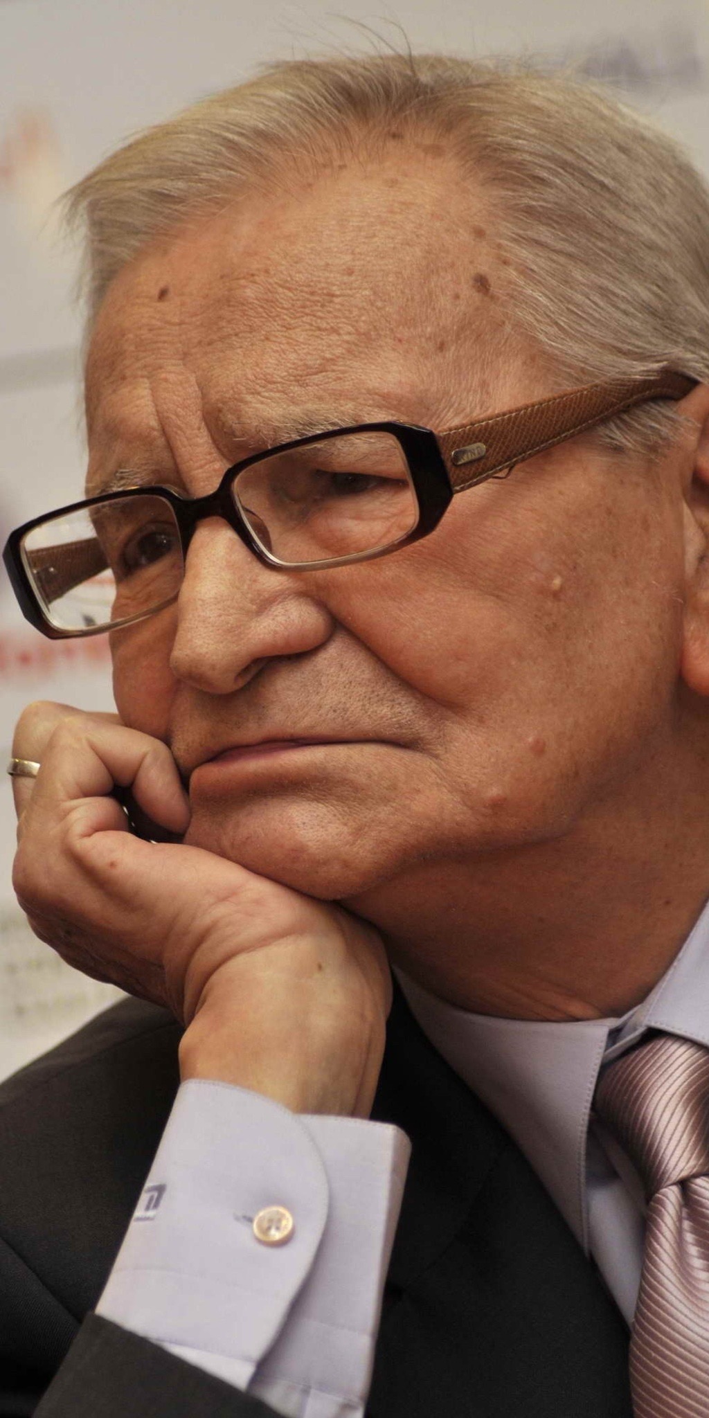 Despre Radu Beligan - Teatrul de Vara Bacau